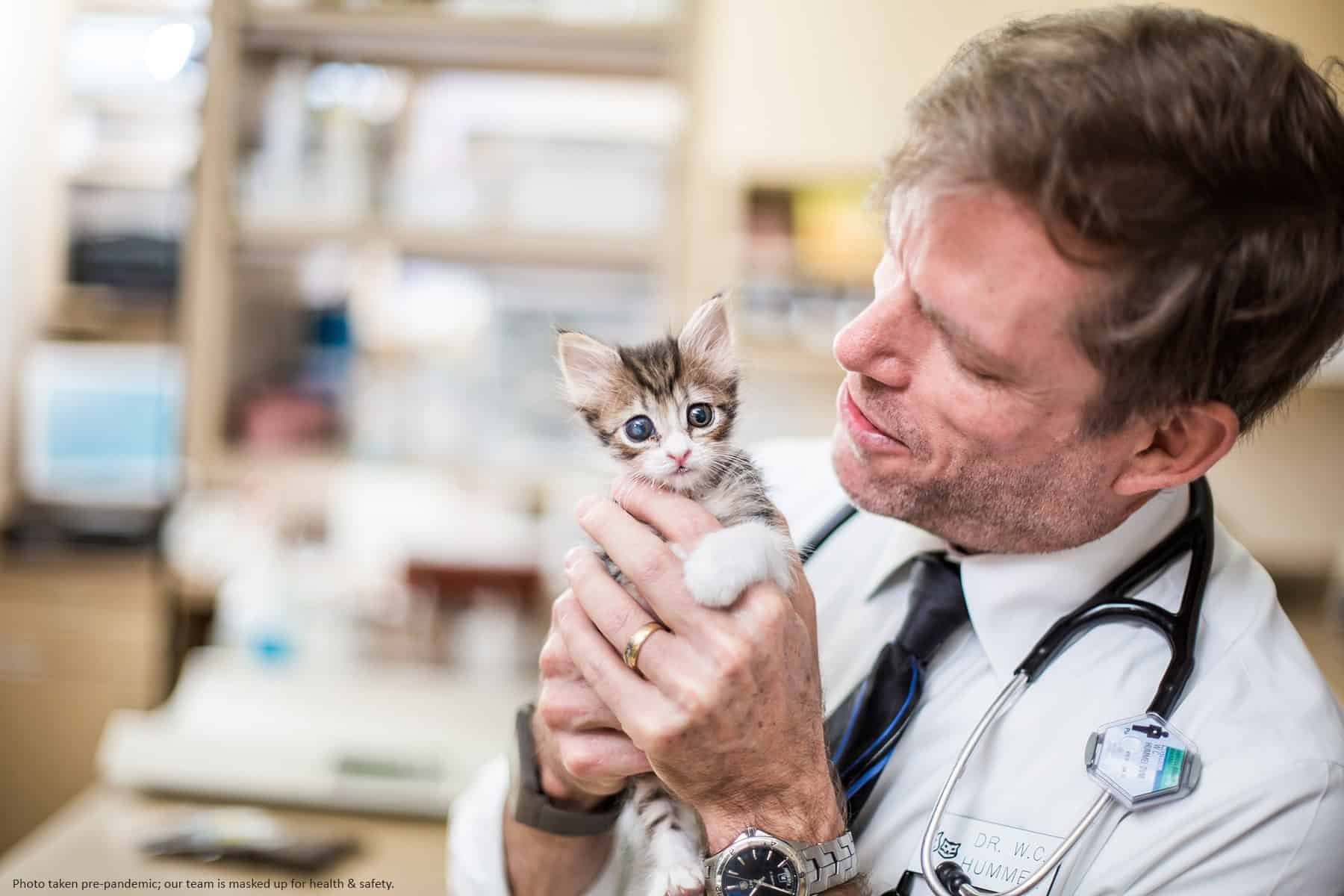 The Aspen Group to Acquire AZPetVet - Dentistry Today